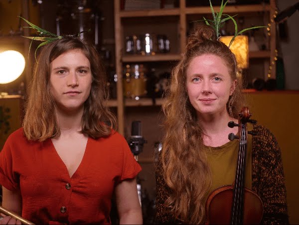 What's On - The Grapes, Bath
